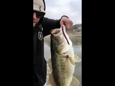 lake ramona fishing 7lb bass 2-10-21 - YouTube