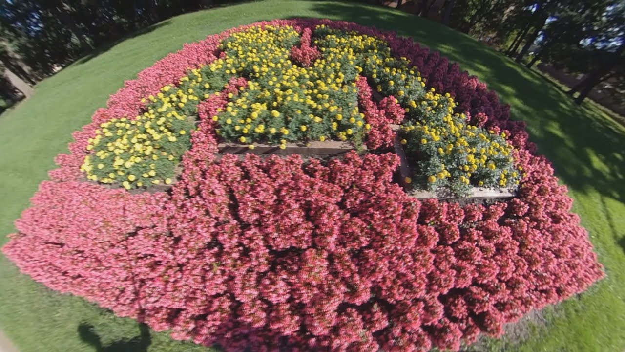University of Minnesota 'The Lawn' 4K - YouTube