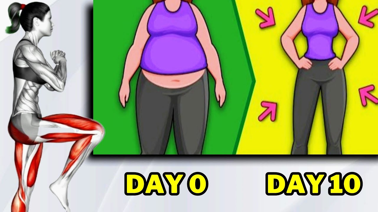 Daily Workout Routine for Rapid Weight Loss! Beginner freindly - YouTube