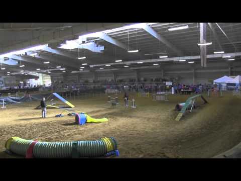 Jam Master Std Agility Zoomie 11-21-15