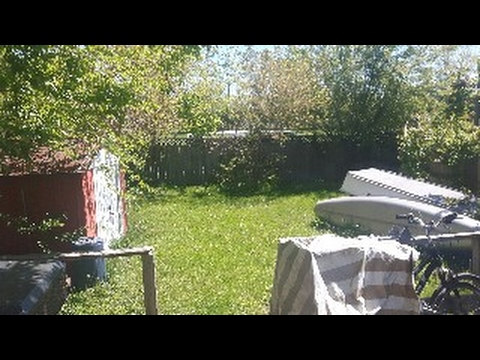 it is cool outside now. - YouTube