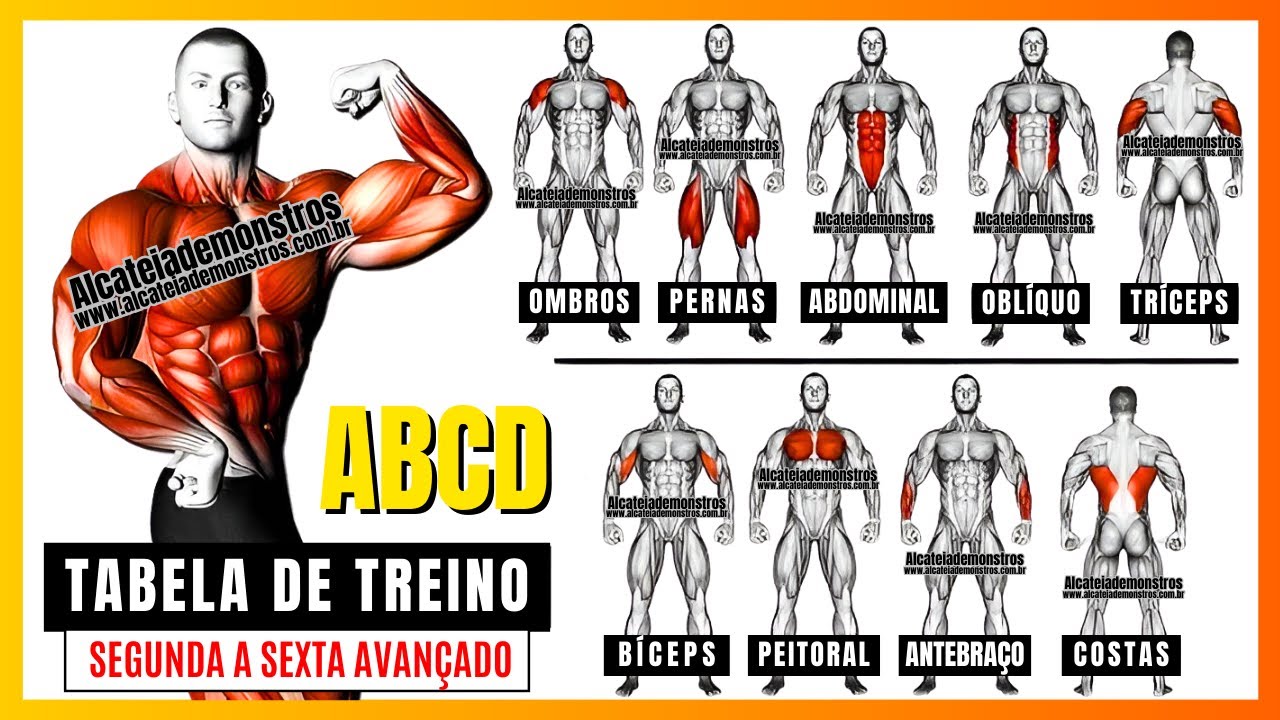 Tabela De Exercicios Abdominais