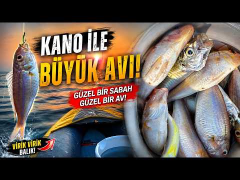 Elektrikli Kano ile Balık Avı | Çapari ile Balık Avı | Papağan Balığı Baya Büyük