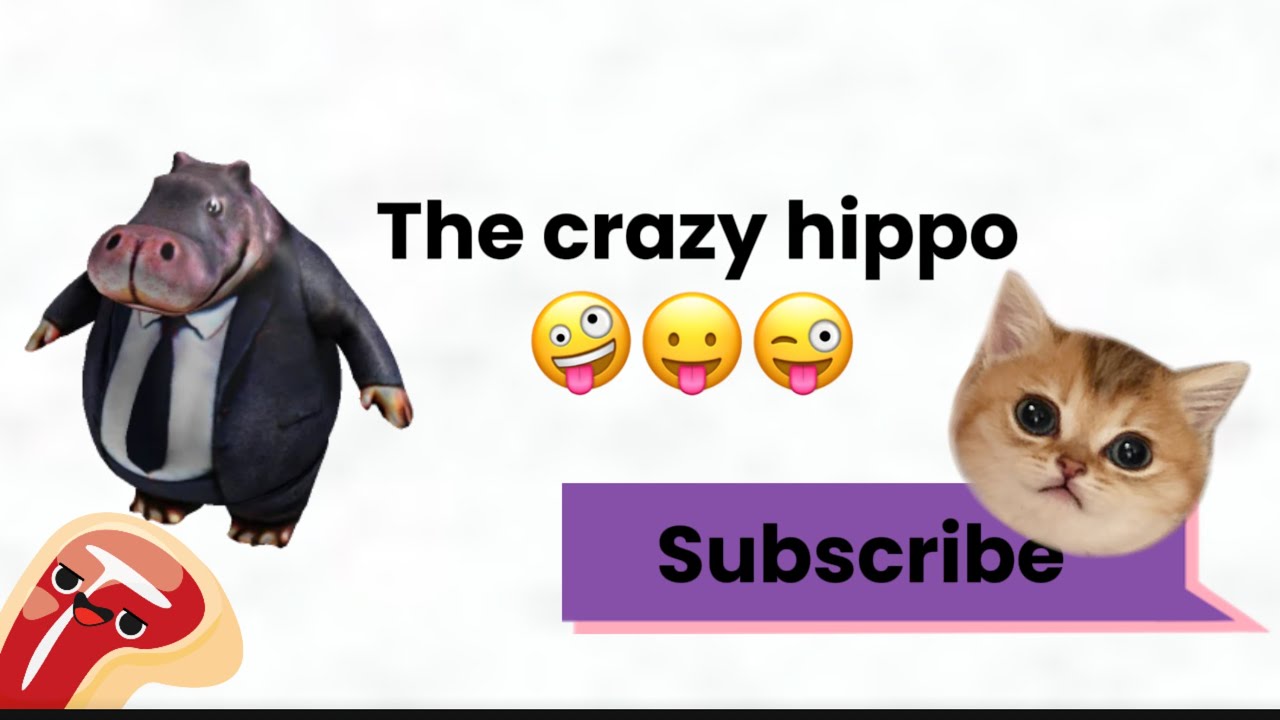 The crazy hippo 🦛 - YouTube