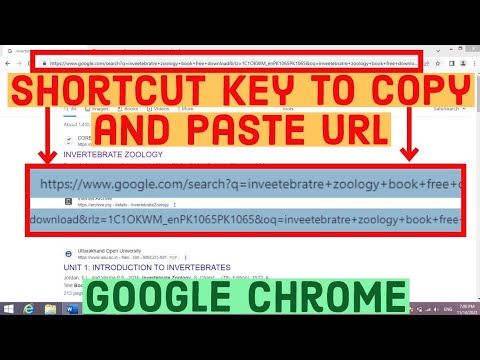 Shortcut Key to Copy and Paste URL in Google Chrome | Shortcut Key to ...
