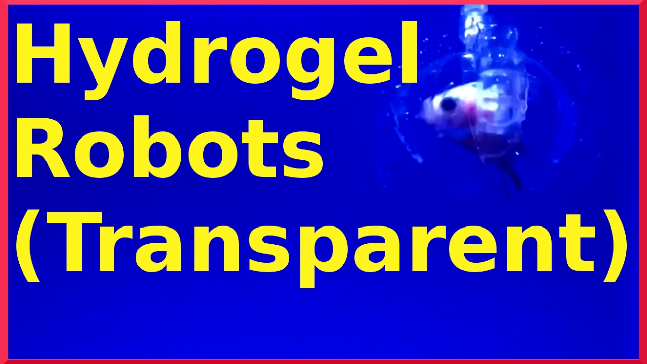 Transparent Hydrogel Robots can catch and release live Fish | QPT - YouTube