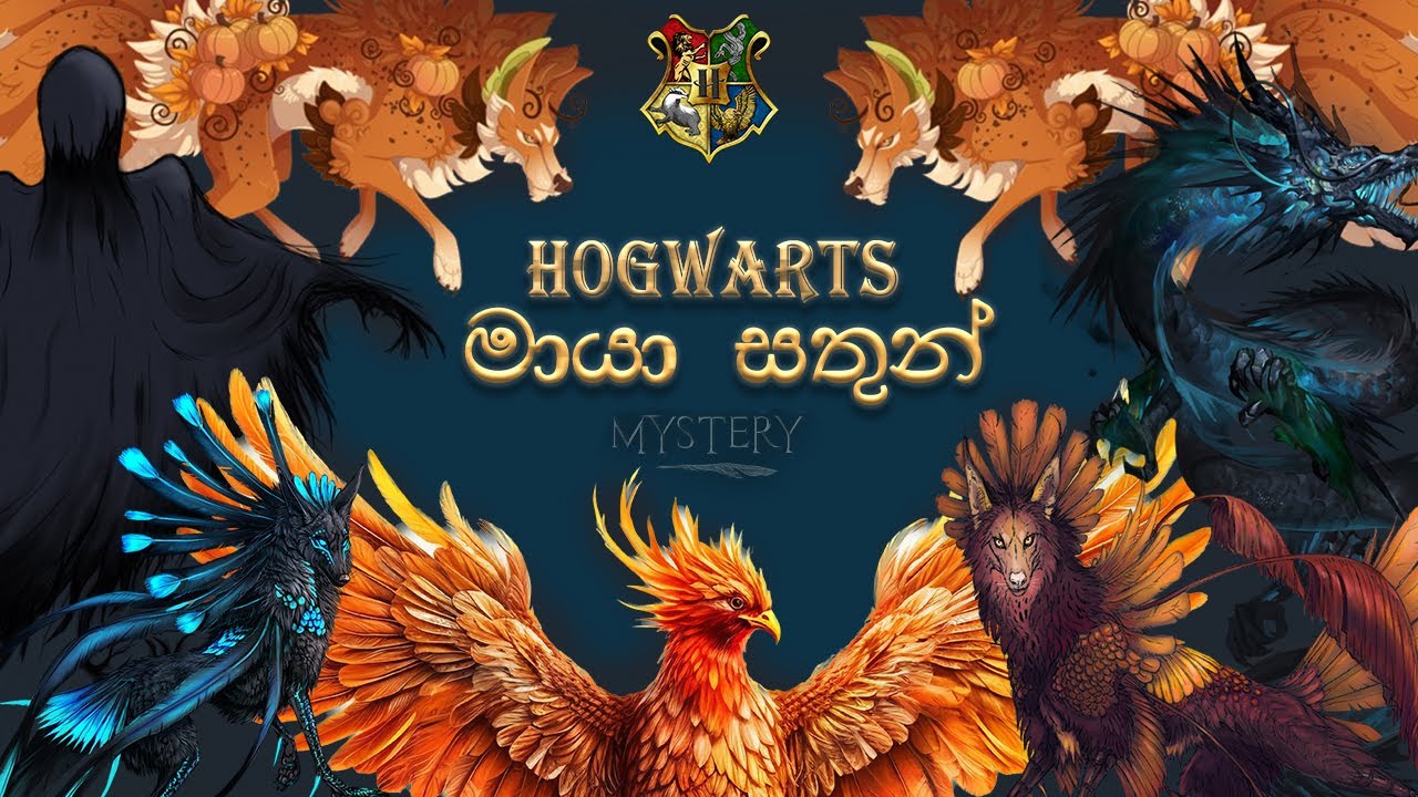 හොග්වඩ් වල මායා සතුන් වාර් ගි කරණය /Magical Creatures of Hogwarts ...