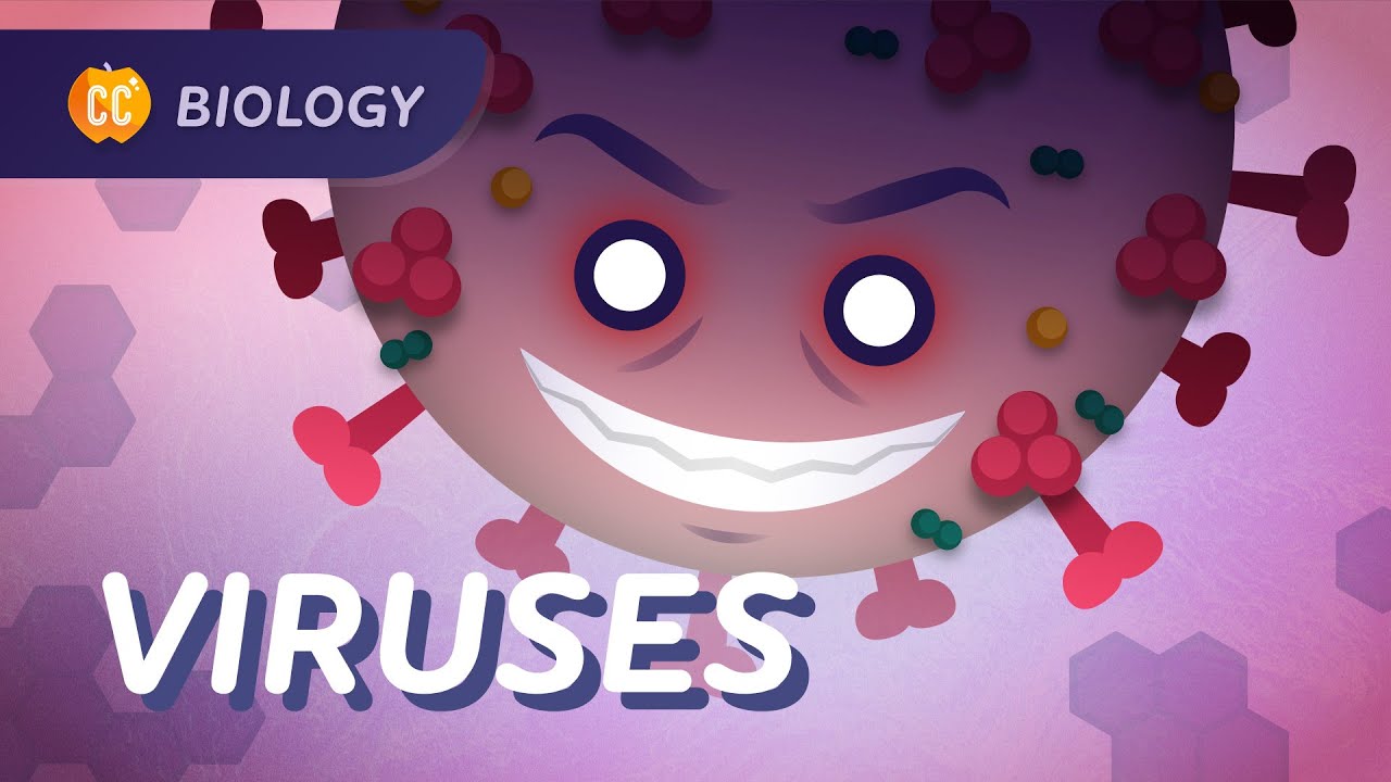 Viruses & Vaccines: How Do Vaccines Work?: Crash Course Biology 39 ...