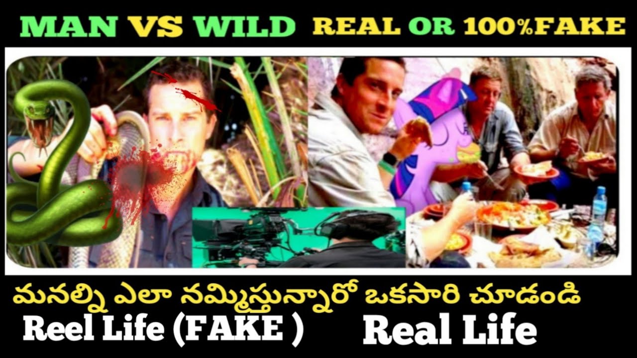 Is man vs wild real - nasadmanhattan