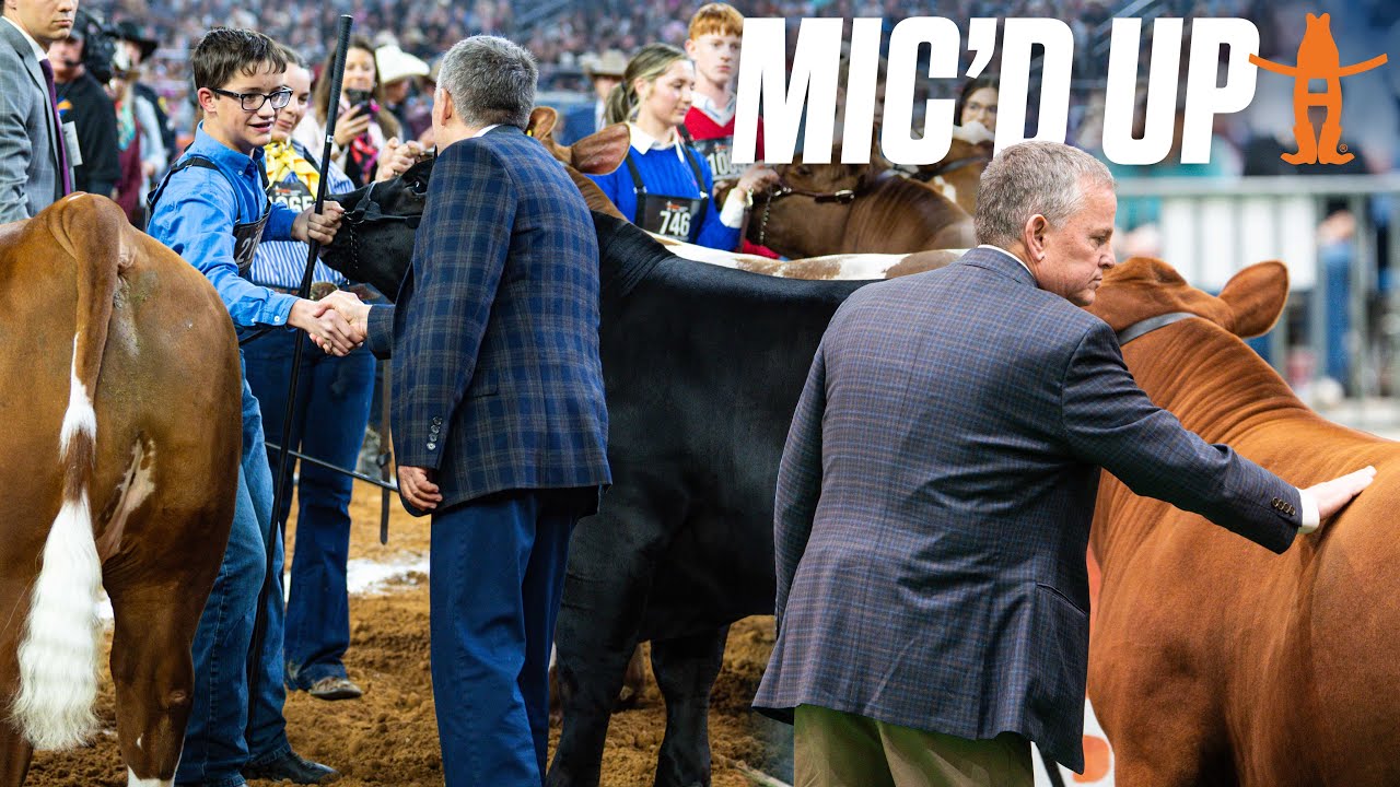 Inside a Judge's Mind 🧠 | Jr. Market Steer Judge mic'd up for Houston ...