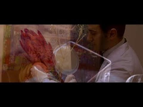 Practice Dr. Yusuf Yildirim aesthetics Baden-Baden (English)