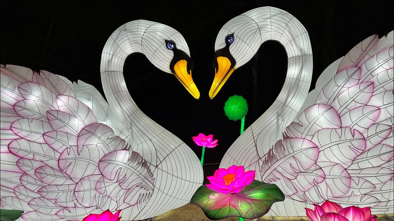 Walk Trough at Zoo Lights, Los Angeles Zoo, 2022 - YouTube