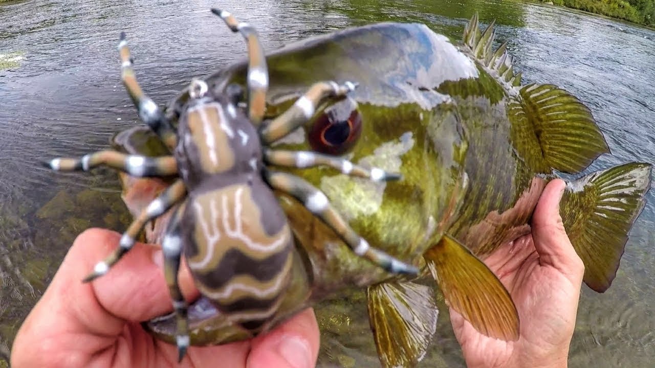 The Amazing Spider-Bass - YouTube