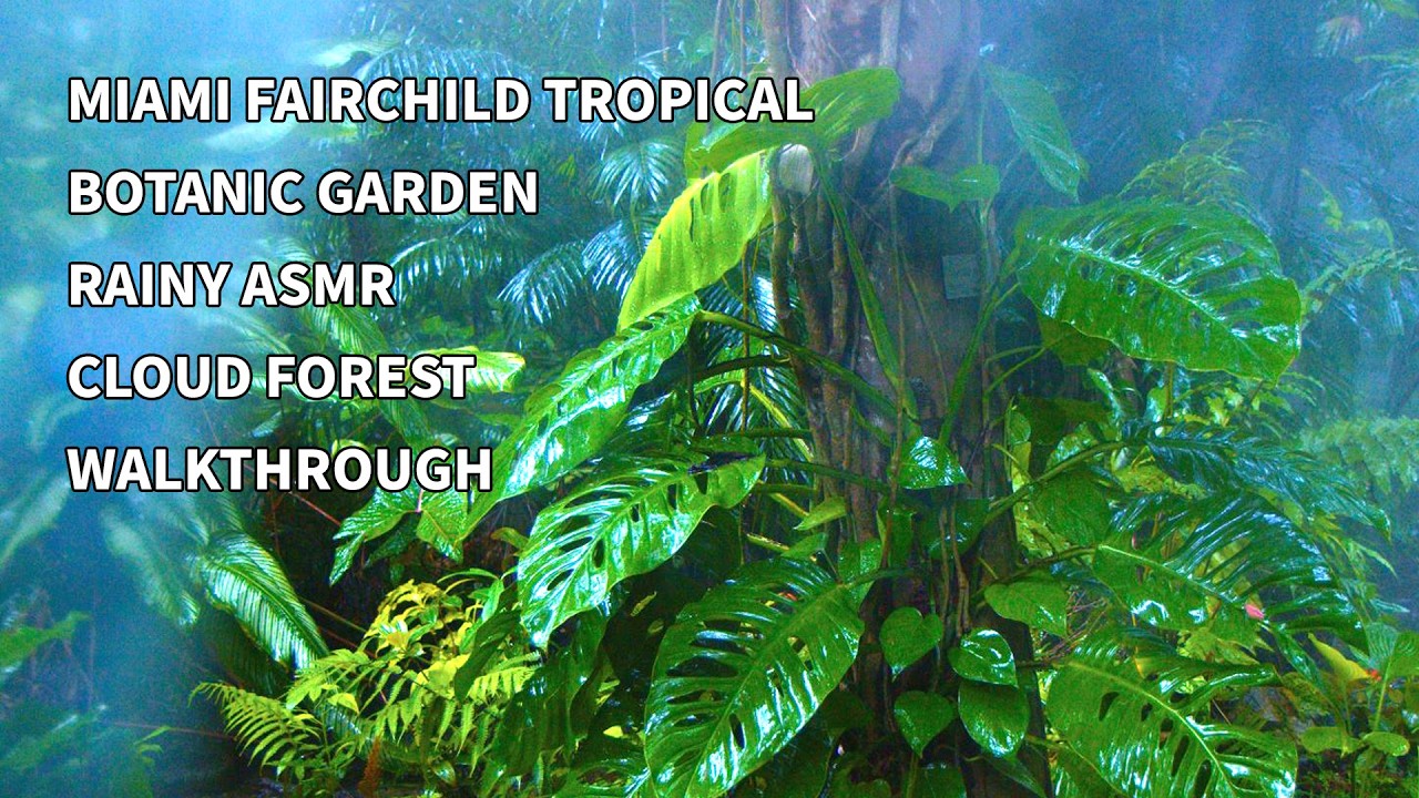 Rainy Relaxing Botanical Tour at Fairchild Tropical Botanic Garden ...