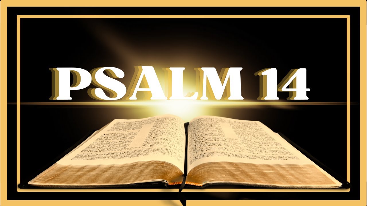 BIBLE- Psalm 14 (ESV)- The Fool Says, There Is No God - YouTube