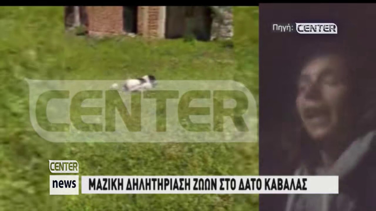 ΜΑΖΙΚΗ ΔΗΛΗΤΗΡΙΑΣΗ ΖΩΩΝ ΣΤΟ ΔΑΤΟ ΚΑΒΑΛΑΣ - YouTube
