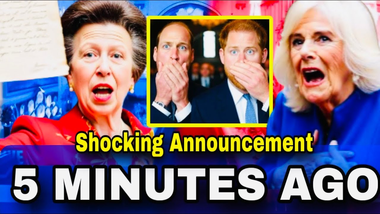 Princess Anne’s Coldest Statement Exposed Tragic Family News After ...