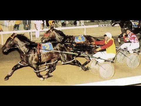 Harness Racing,Harold Park-1988 Inter-Dominion Grand Final (Our Maestro ...