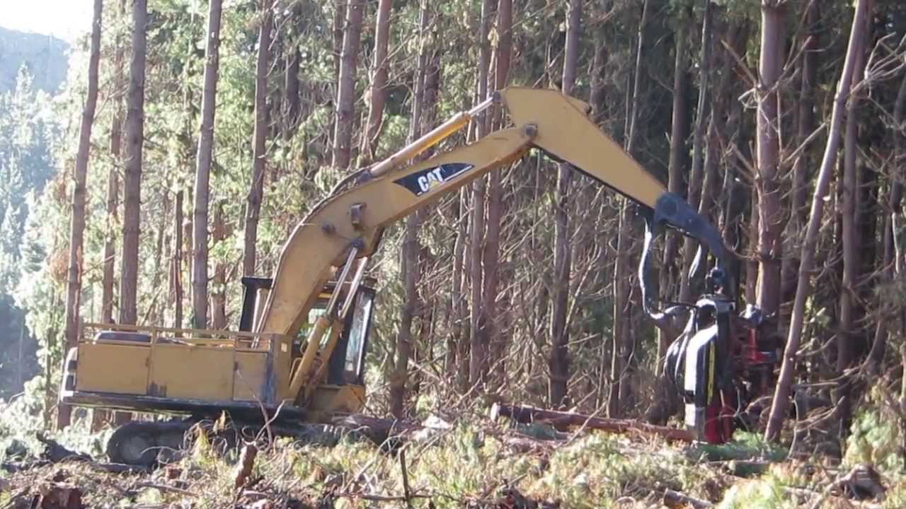 Logging in New Zealand - YouTube