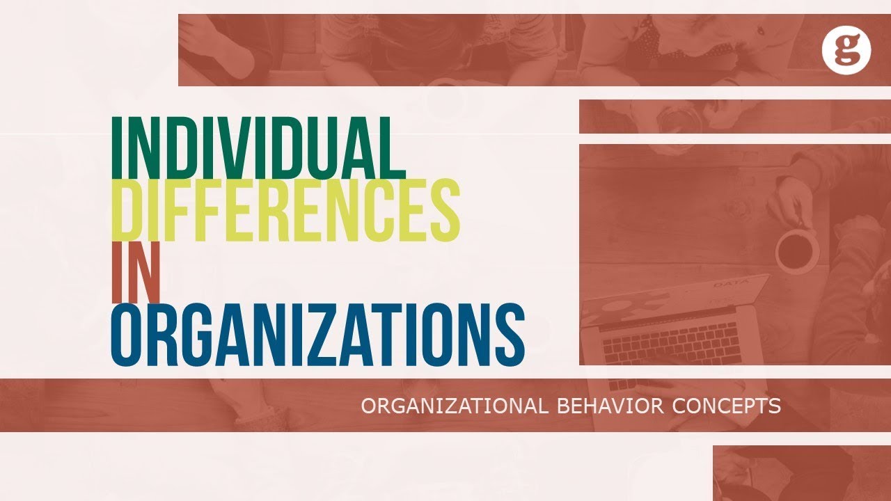 Individual Differences in Organizations - YouTube