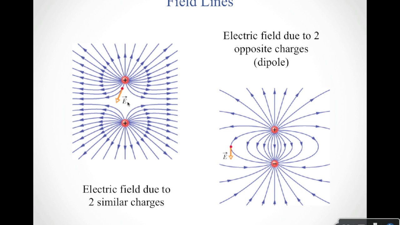Field Lines - YouTube