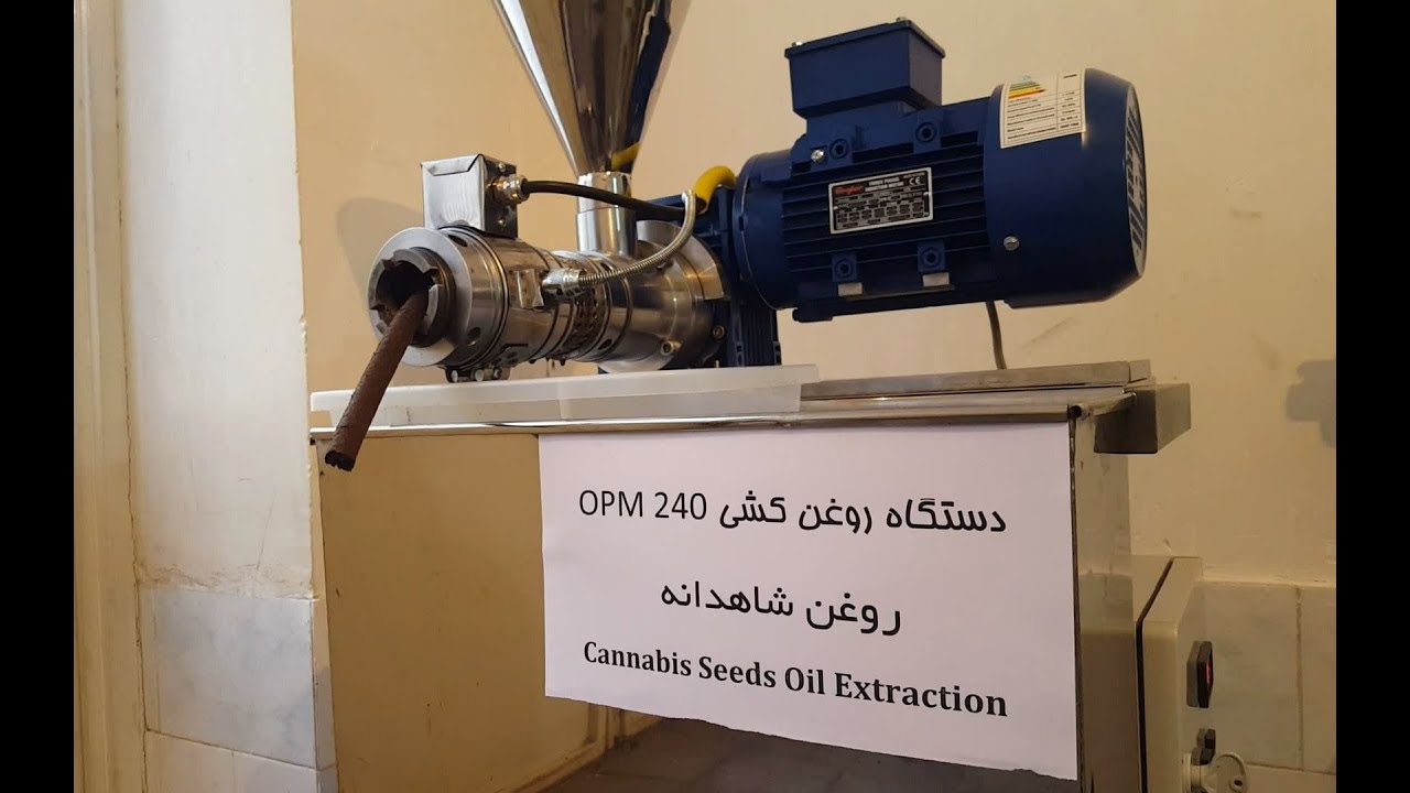 Cannabis Seed Oil Press, Oil Press Machine, Seed Oil Extraction OPM 240 ...