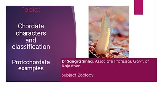 Examples Of Protochordata