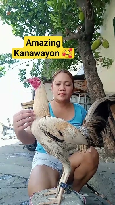 Amazing Kanawayon 🥰 - YouTube