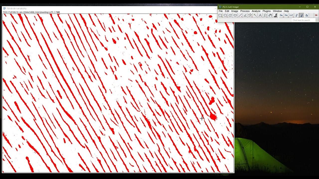 Fast Particle Analysis With Fiji Imagej Measure Lamella Thickness Length Circularity And