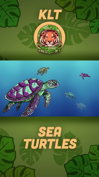 What Do Sea Turtles Eat?! | Sea Animal Songs For Kids | KLT Wild # ...