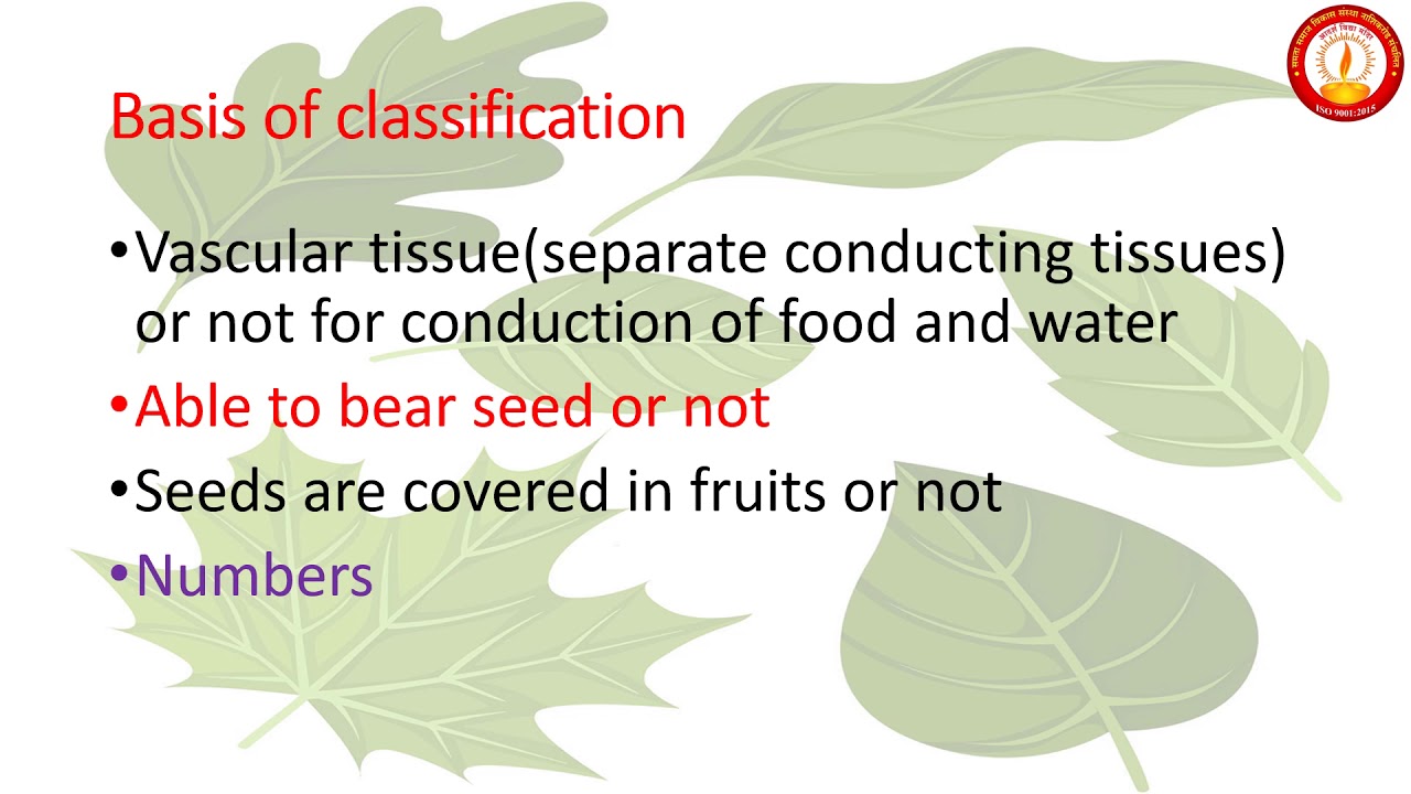 classification of kingdom Plantae /class 9/semi English medium students ...