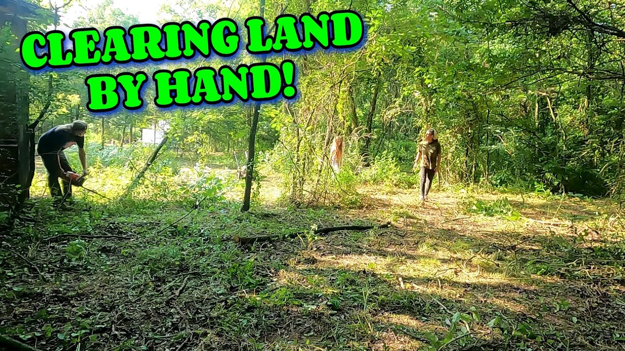 LAND CLEARING X10😁 |farm, tiny house, homesteading, RV life, RV living| - YouTube