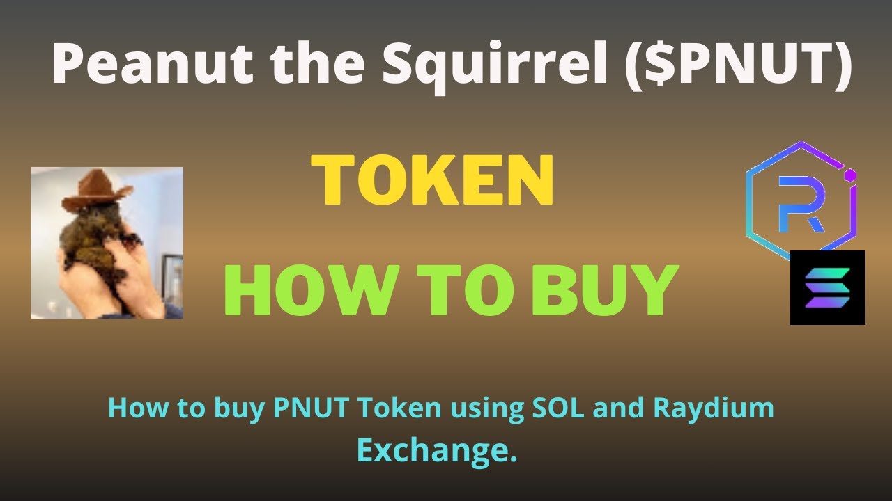 How to Buy Peanut the Squirrel (PNUT) Token Using Raydium Exchange - YouTube