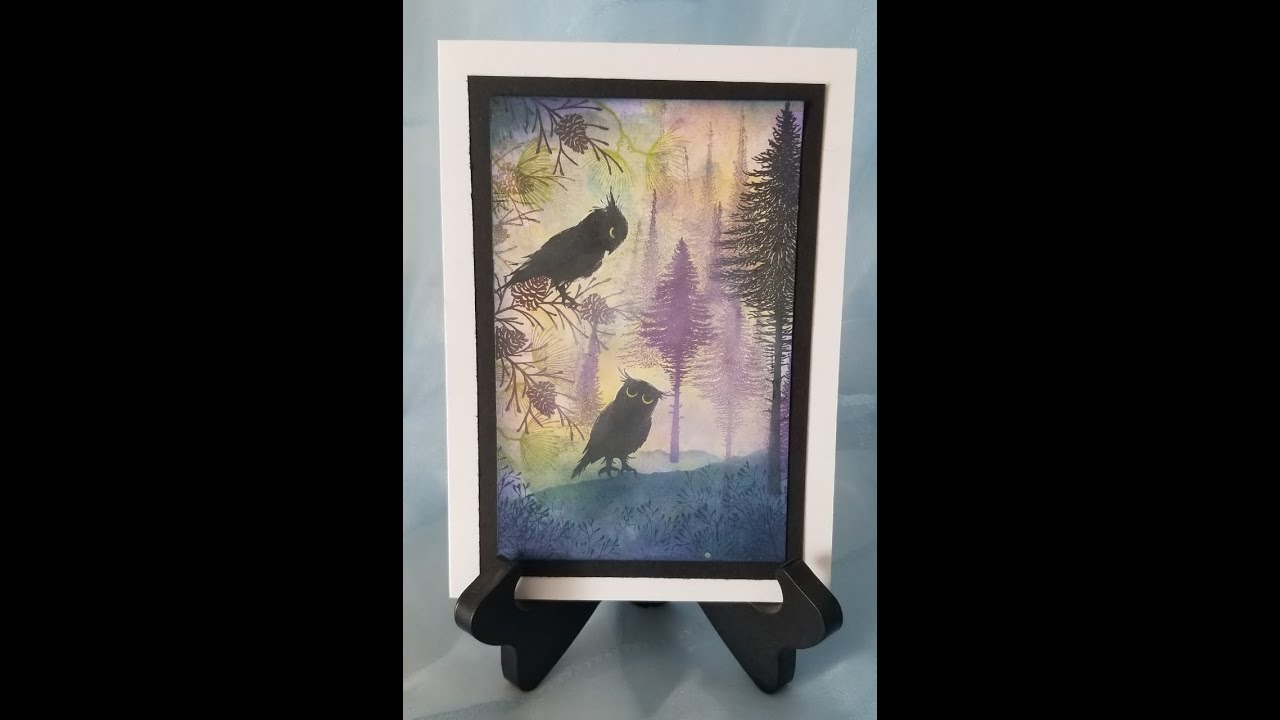 "Echo and Drew in the Forest" Video Tutorial - YouTube