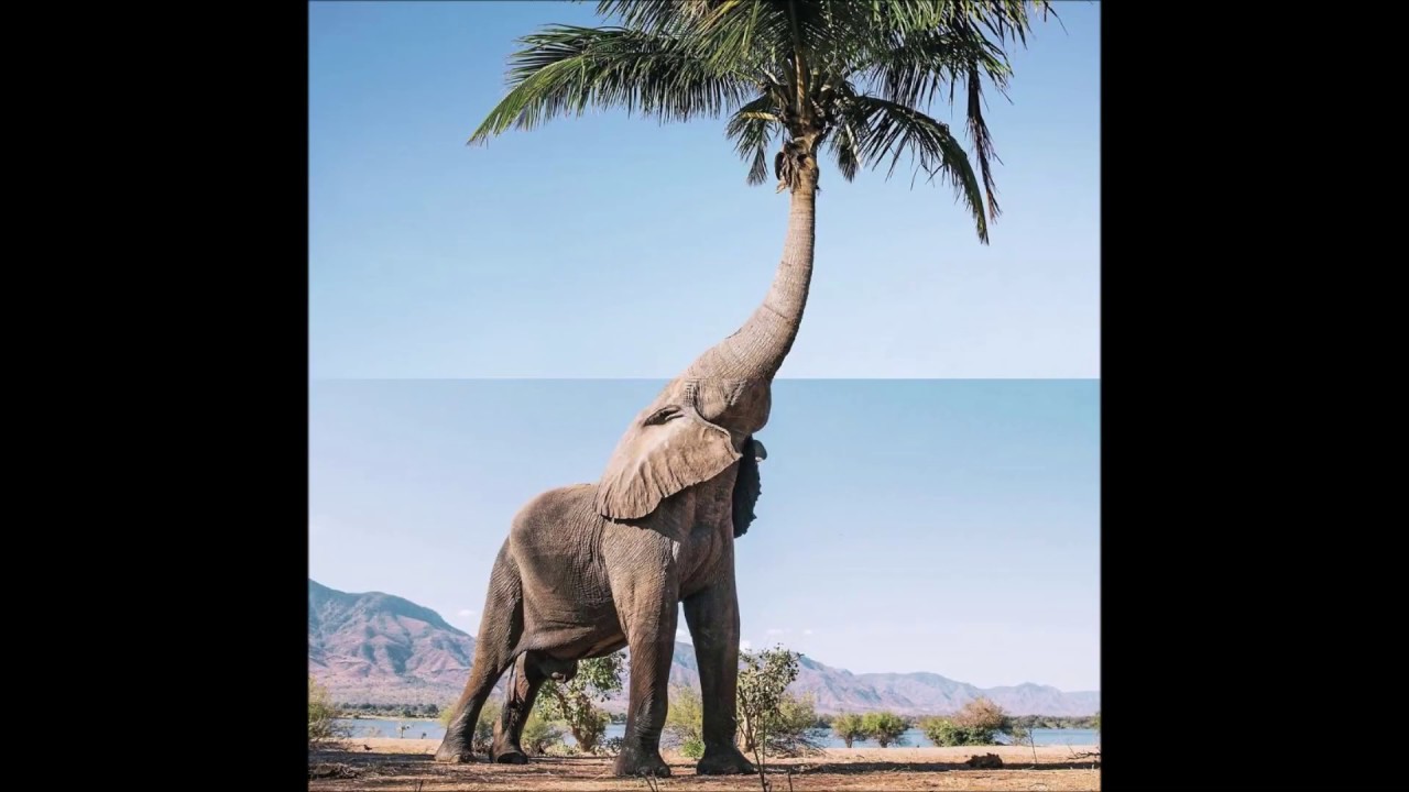 Mind Bending and Funny Photo Mash Ups Slideshow - YouTube
