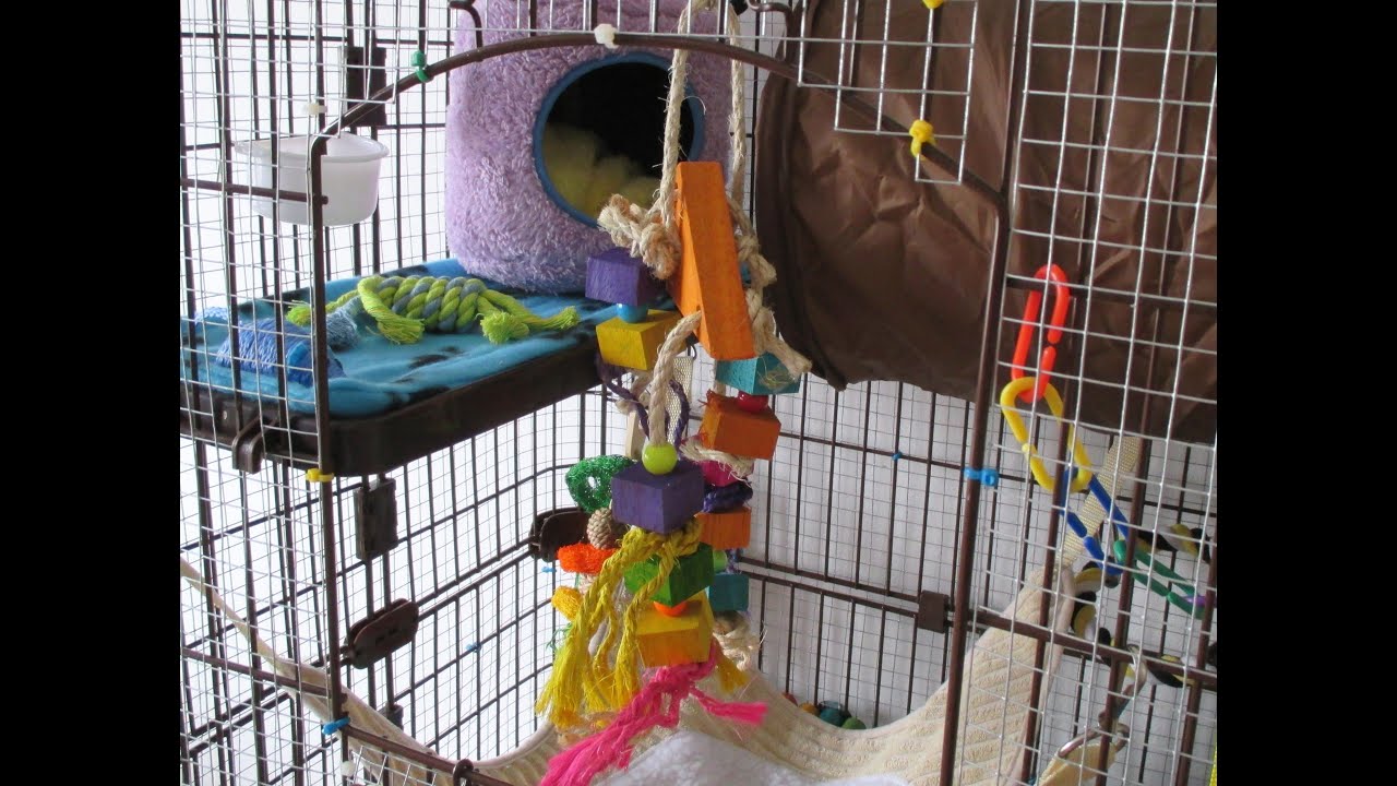 My First Cage Tour!!!! - YouTube