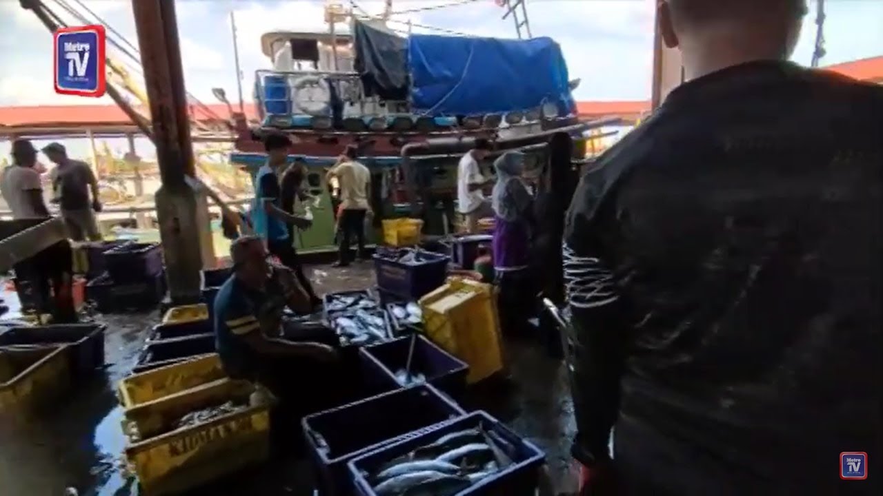 Muroh Dooh Ikan Selayang RM4 Satu Kilogram YouTube muroh-dooh-ikan-selayang-rm4-satu-kilogram-youtube