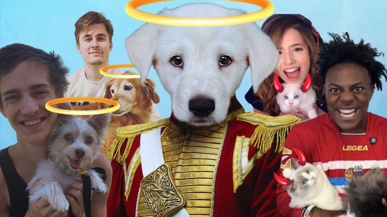 MOST LOVED vs. LEAST LOVED Streamer Pets - YouTube