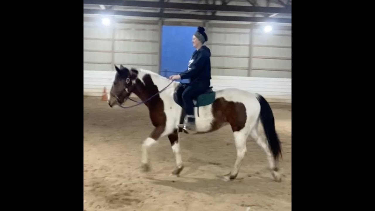 Jade 2015 Registered Paint Mare for Sale 3-14-24 - YouTube