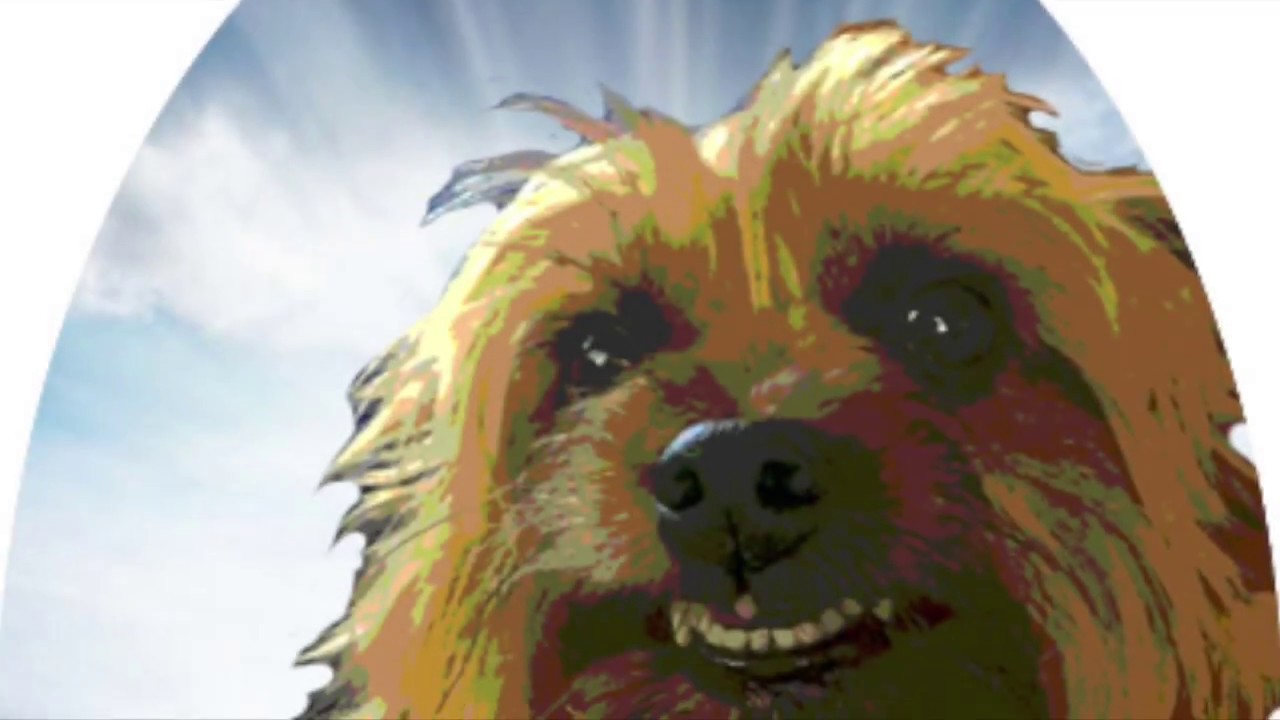 Power Pets Inc - YouTube