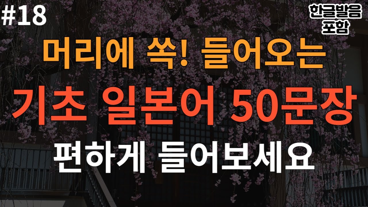 버스일본어 머리에 쏙 들어오는 기초 일본어 50문장 I 3회 반복 듣기 일본어 회화 일본어 공부 기초 일본어
