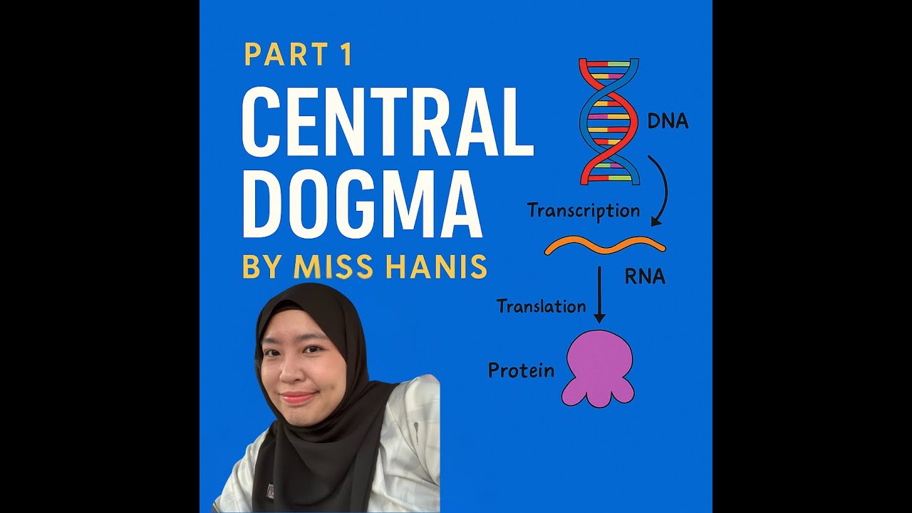 PART 1 - CENTRAL DOGMA SB015 - YouTube