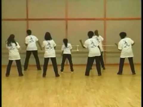 WHIP IT Line Dance and instructions : www.LineDanceDVD.com : DJ Cochise ...
