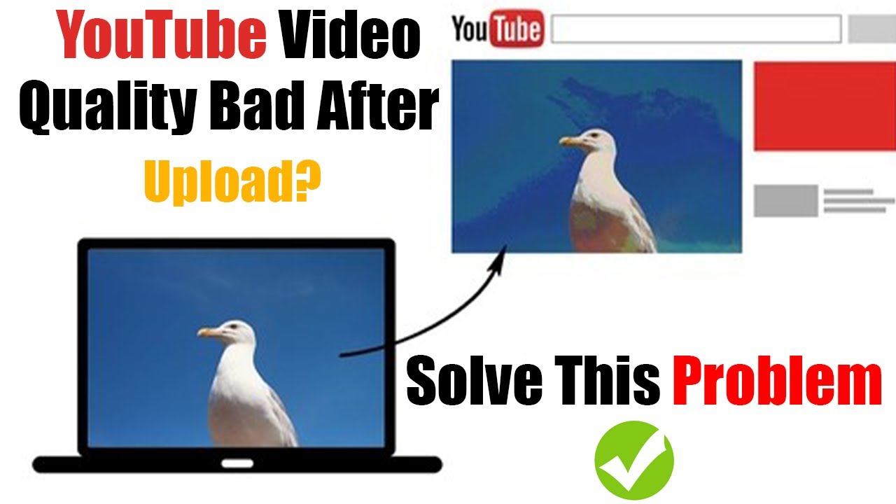 YouTube Video Quality Bad After Upload [Solve ] || Low Video Quality ...