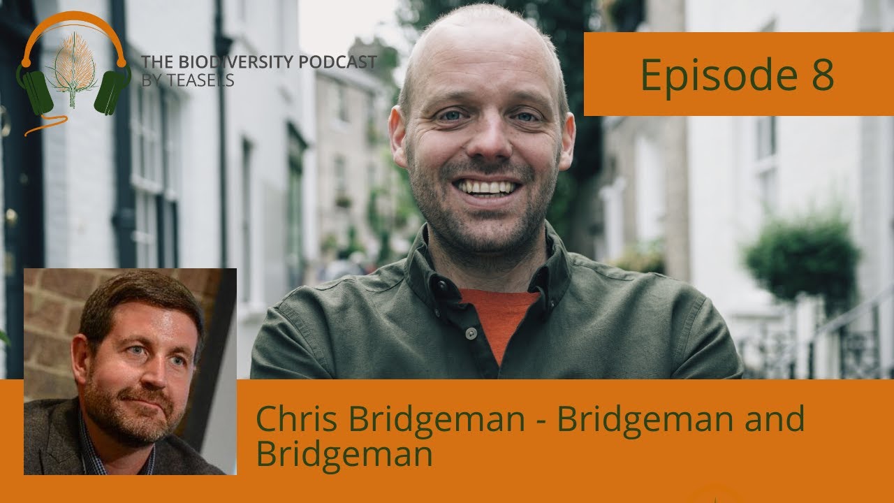 Who is Chris Bridgeman and what do Bridgeman and Bridgeman do? # ...