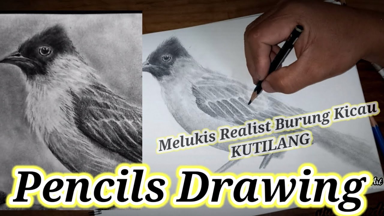 Simple Chirping Bird Painting, Simple pencil drawing - YouTube