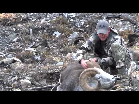 Stone Sheep Hunt - YouTube