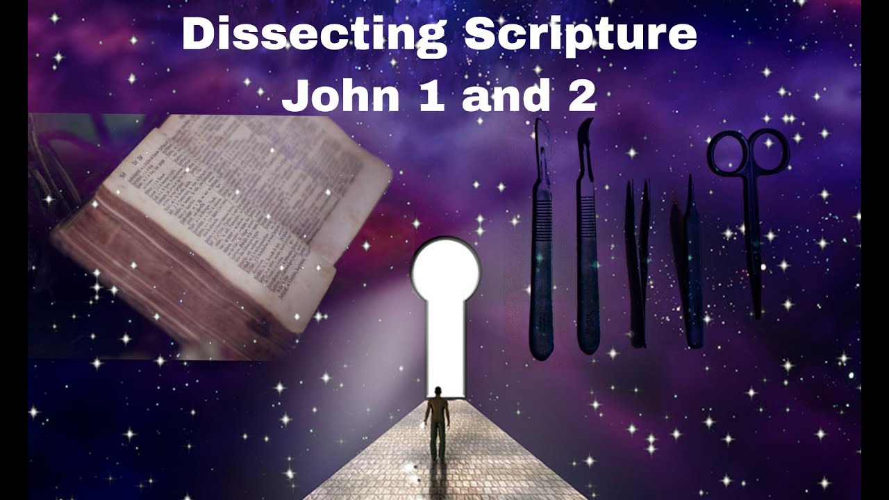 Dissecting Scripture: John 1& 2 - YouTube