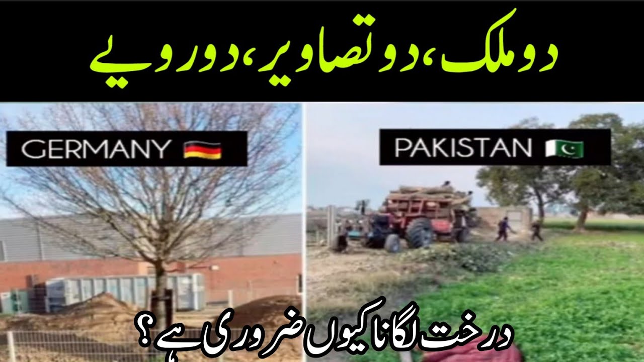Pakistan VS Germany || Darakht lgana kiun zruri hai ? AsadBinSanaUllah ...