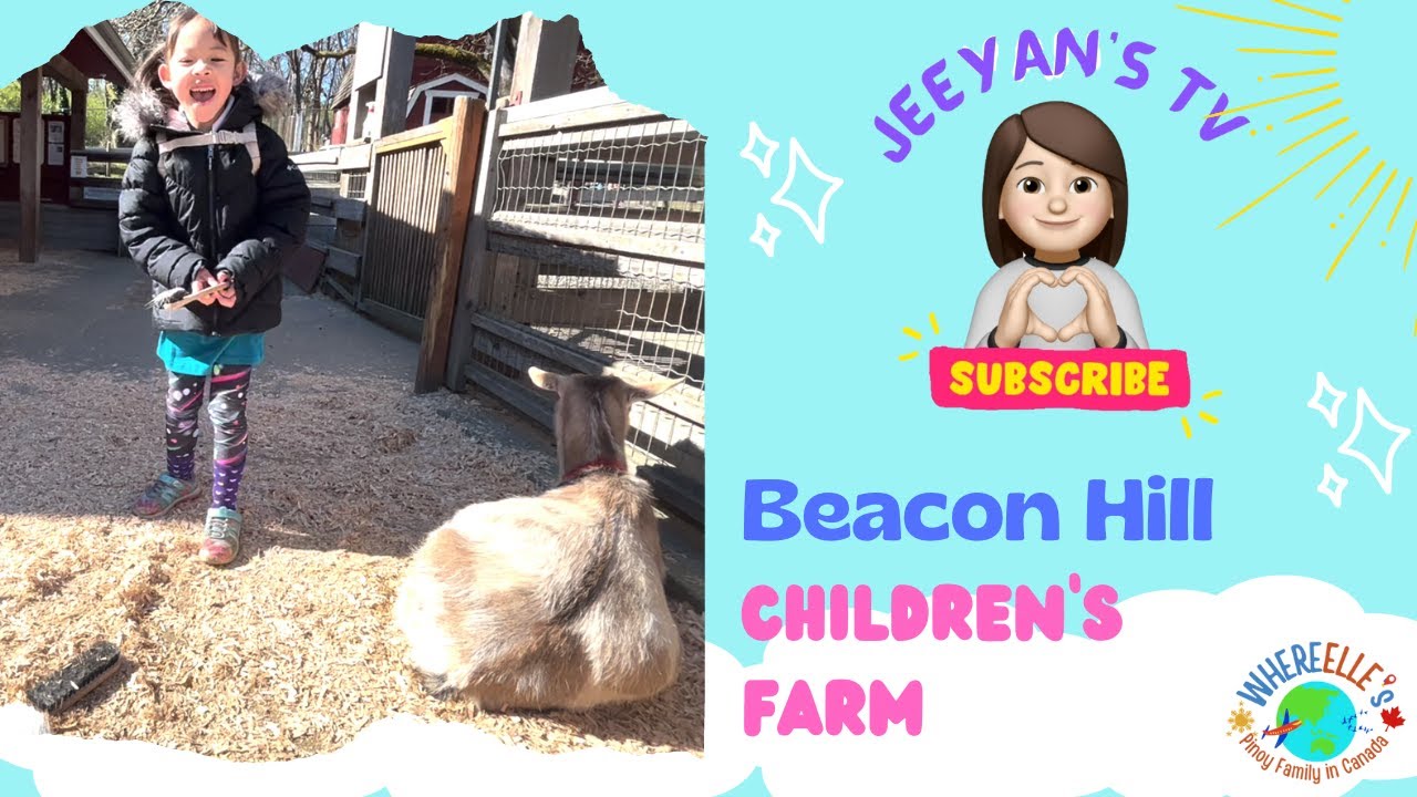 Jeeyan TV: Beacon Hill Children's Farm - YouTube